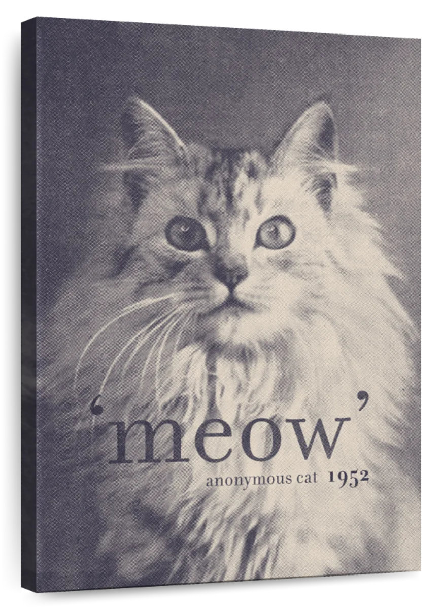 Ebern Designs Brampt Famous Quotes Anonymous Cat 1952 | Wayfair