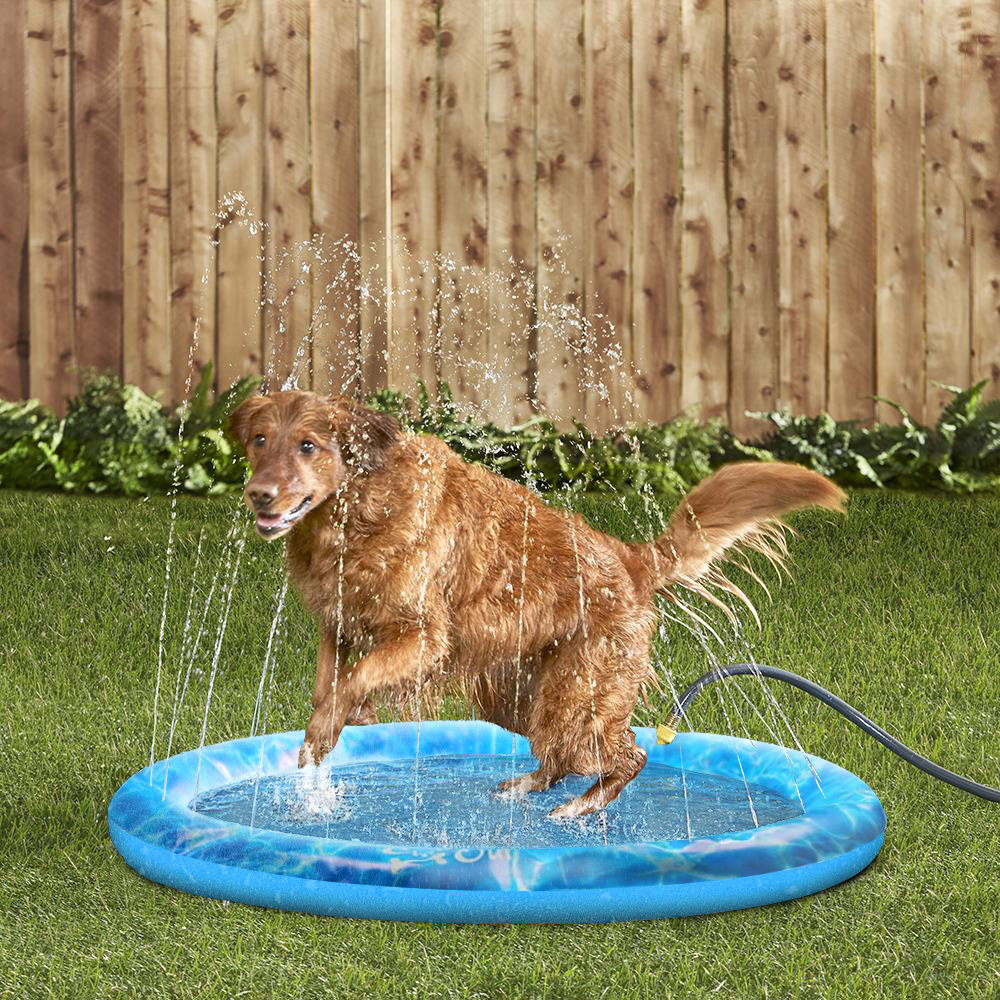 Tucker Murphy Pet™ Ferit 0.04'' PVC Dog Pool | Wayfair