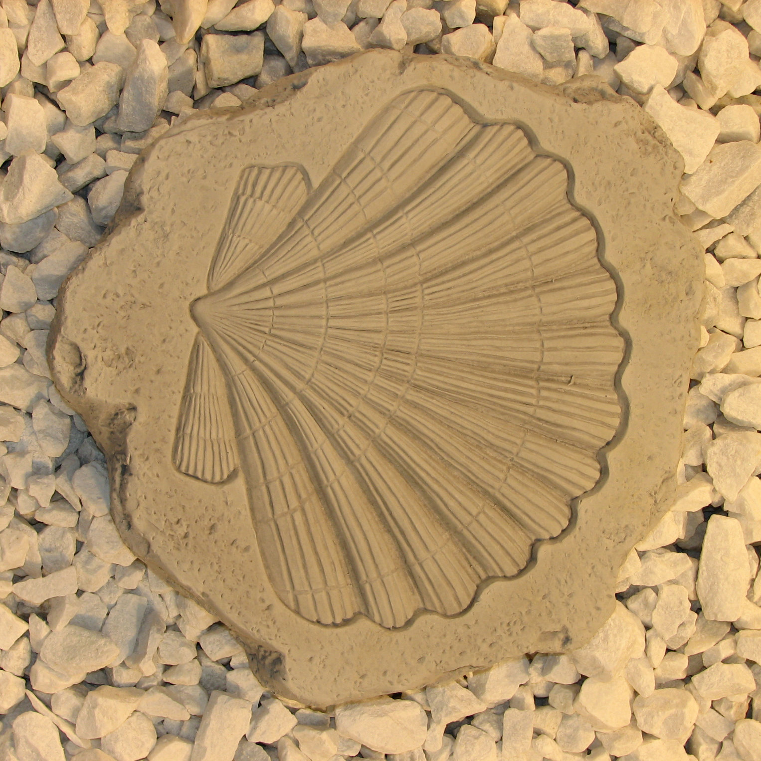 Nichols Bros. Stoneworks Shell Stepping Stone & Reviews | Wayfair