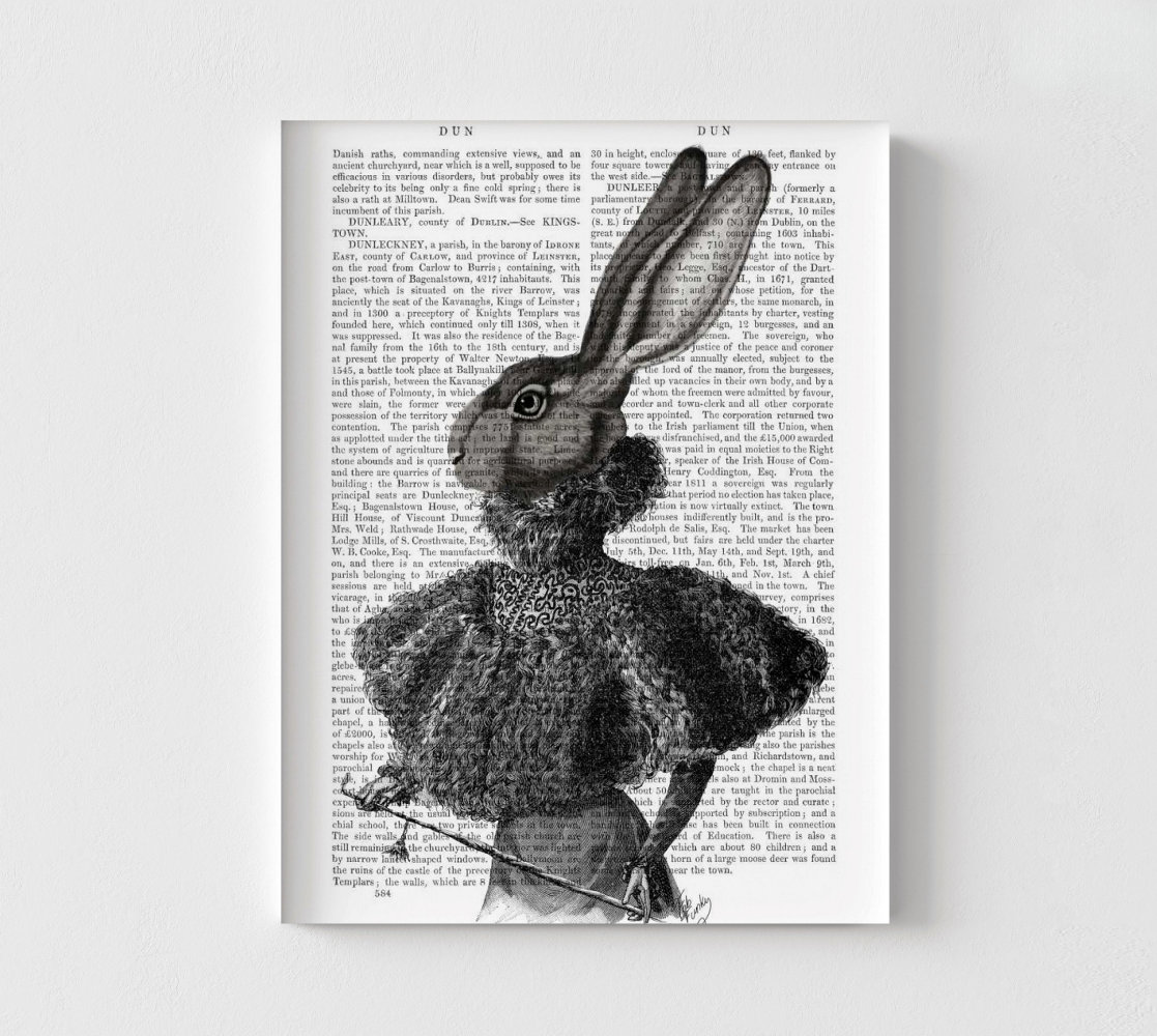 rabbit poster ideas