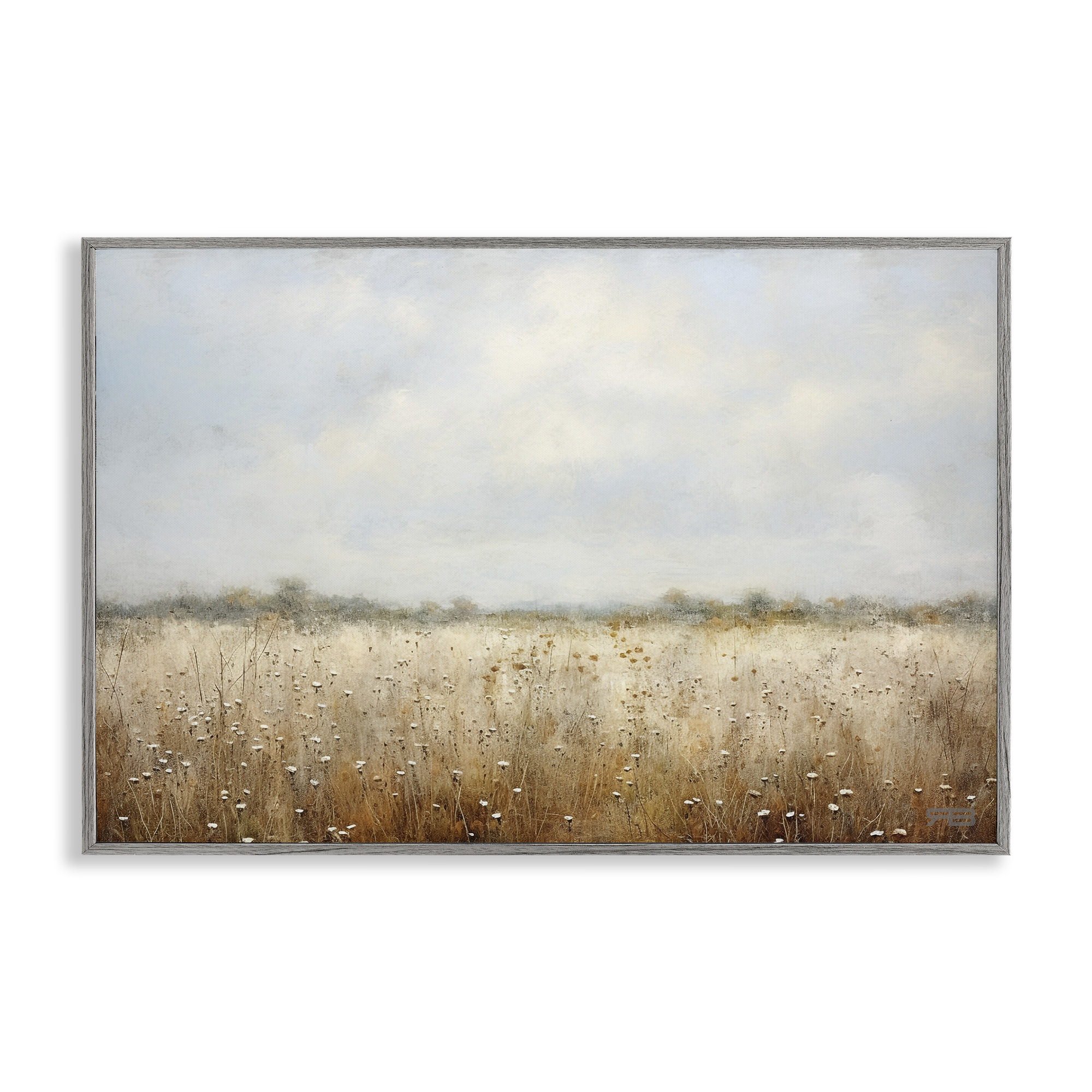 Ophelia & Co. Soft Daisy Field Framed Giclee Art by Roozbeh Bahramali ...