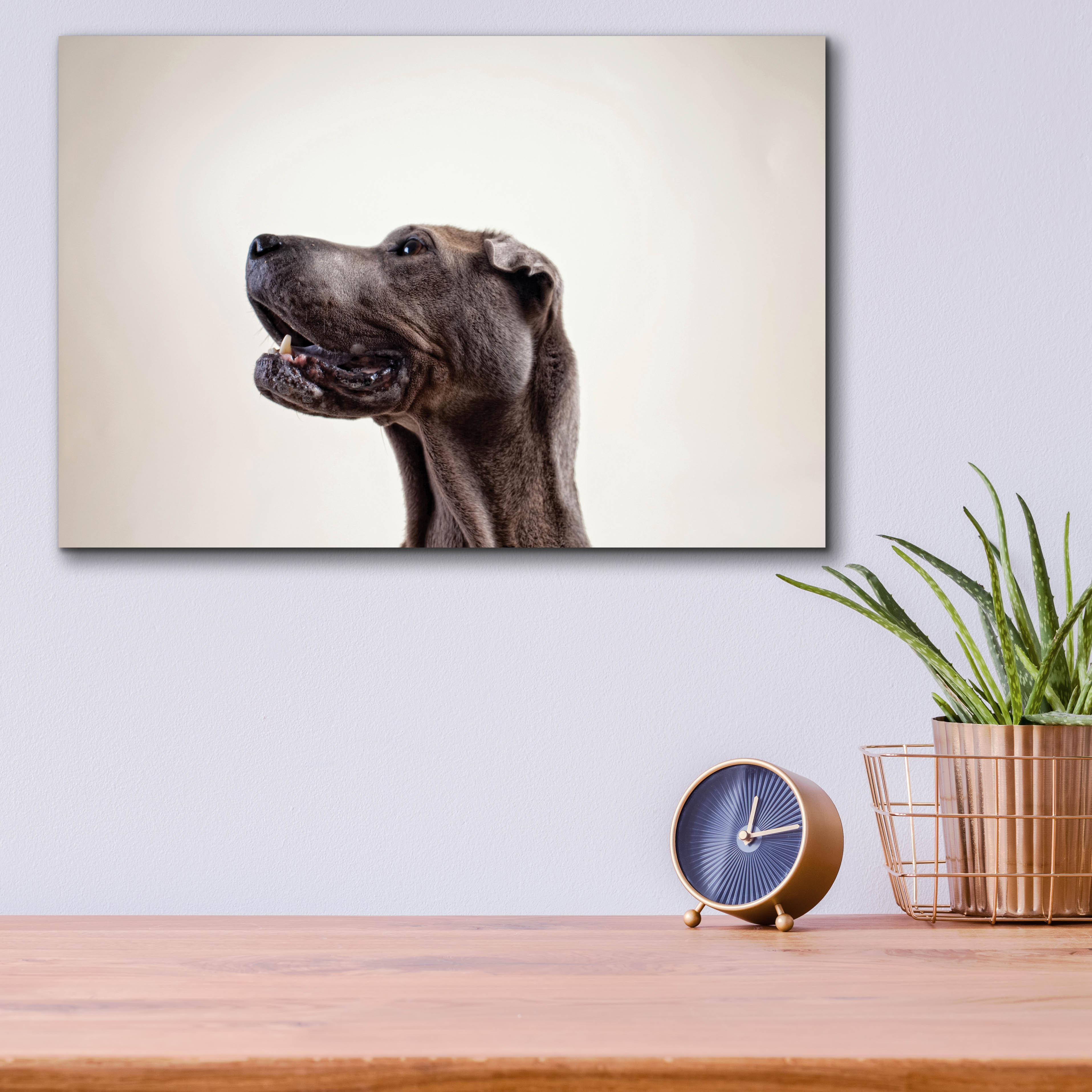 Latitude Run® " Pelei In Profile " by Susan Sabo | Wayfair