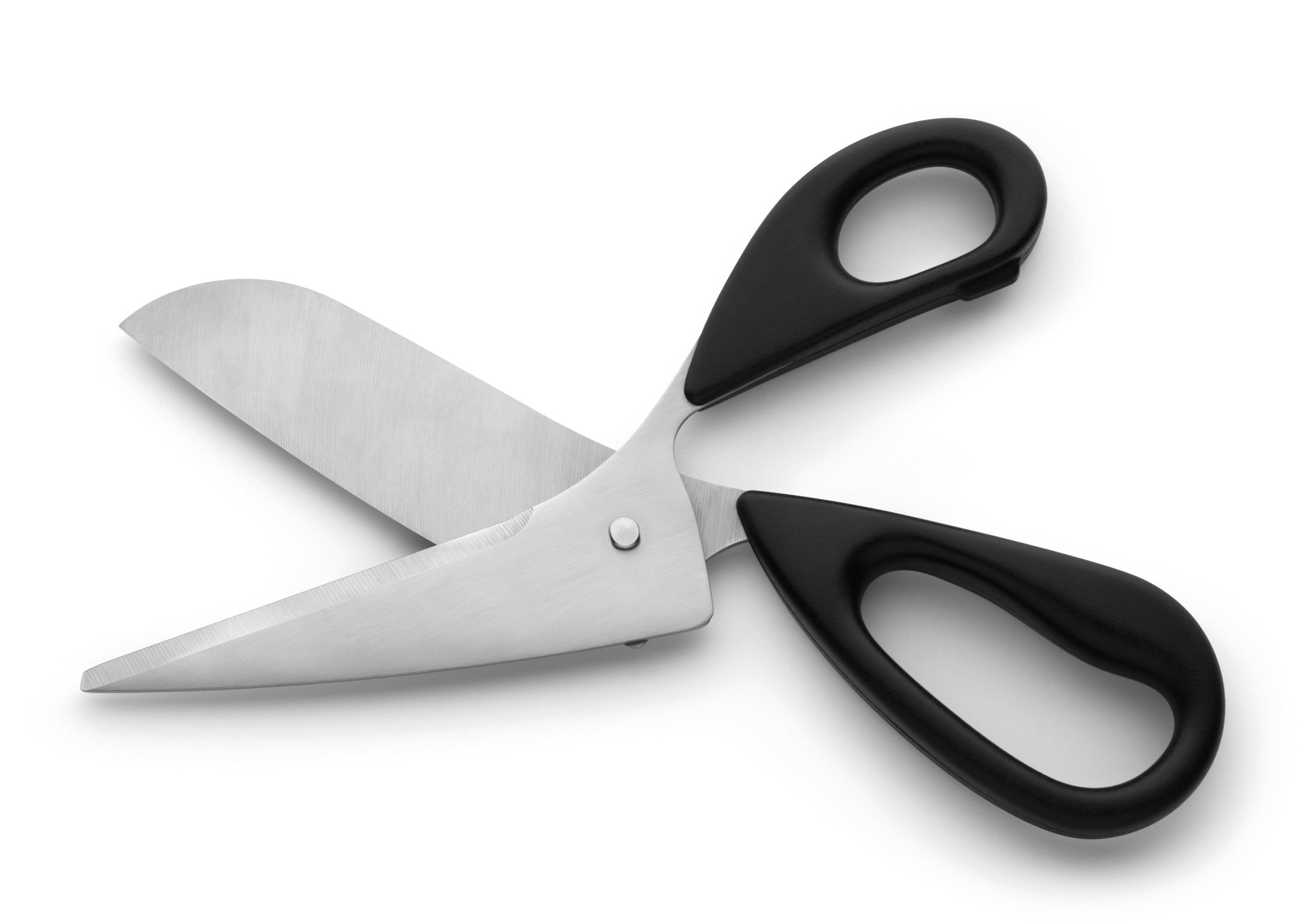 Koch Systeme by Carl Schmidt Sohn Florina Dual Purpose Kitchen Shears ...
