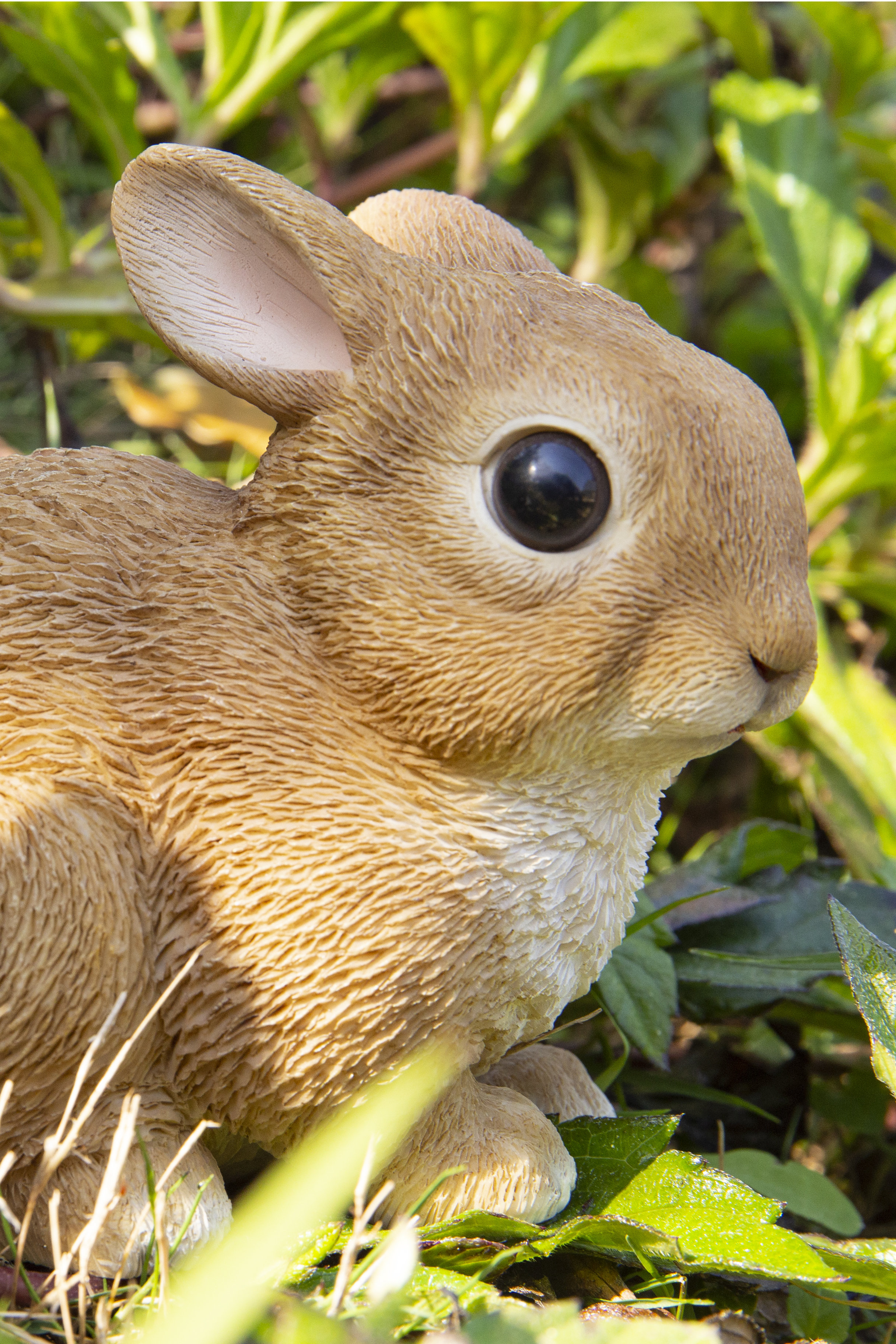 Hi-Line Gift Ltd. Sitting Rabbit Statue & Reviews - Wayfair Canada