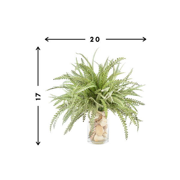 Primrue Feather Fern Arrangement with Shells & Reviews | Wayfair