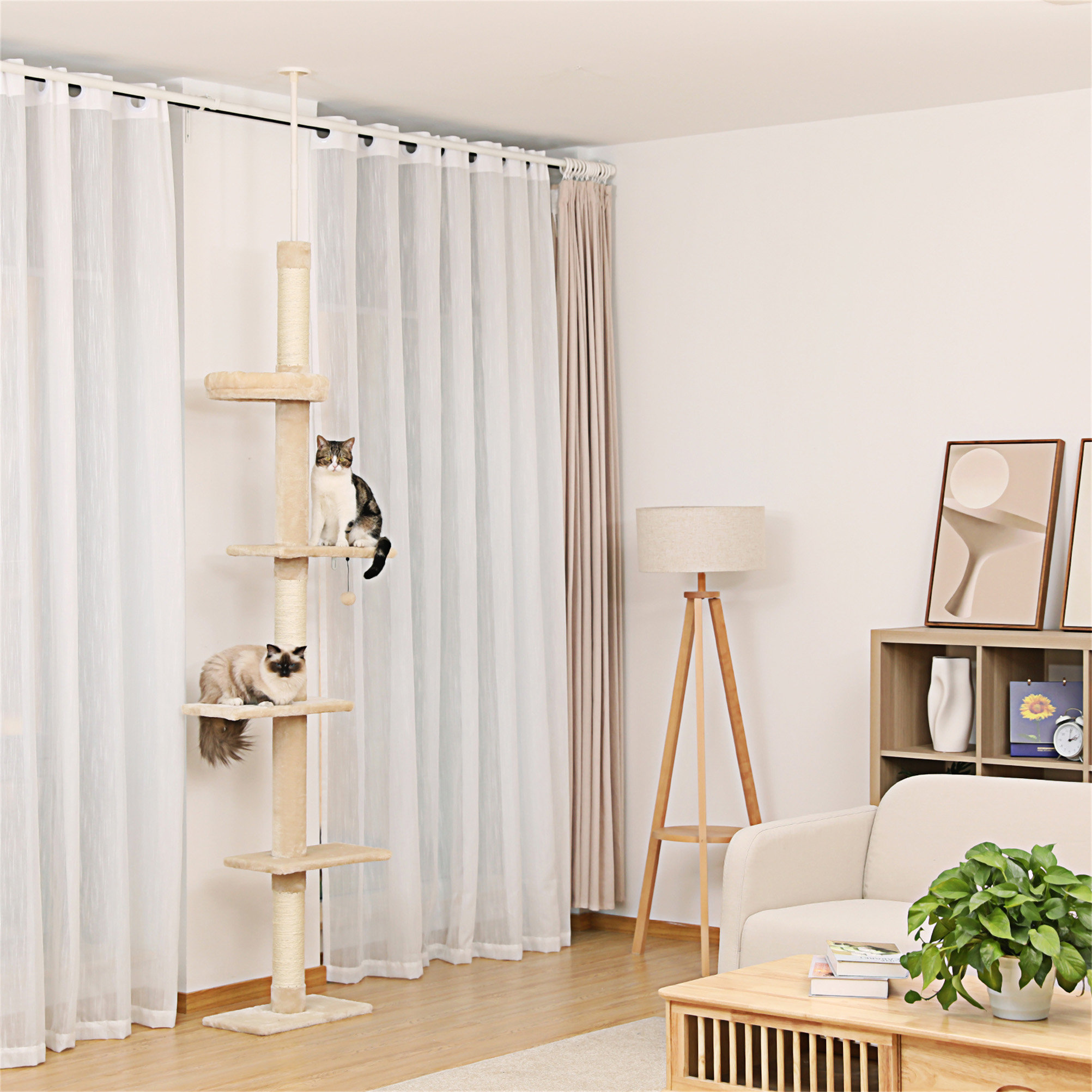 Tucker Murphy Pet™ Tour pour chat interactive à 5 niveaux - Wayfair Canada