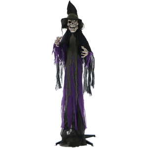 Haunted Hill Farm Life-Size Poseable Skeleton Witch with Multicolor ...