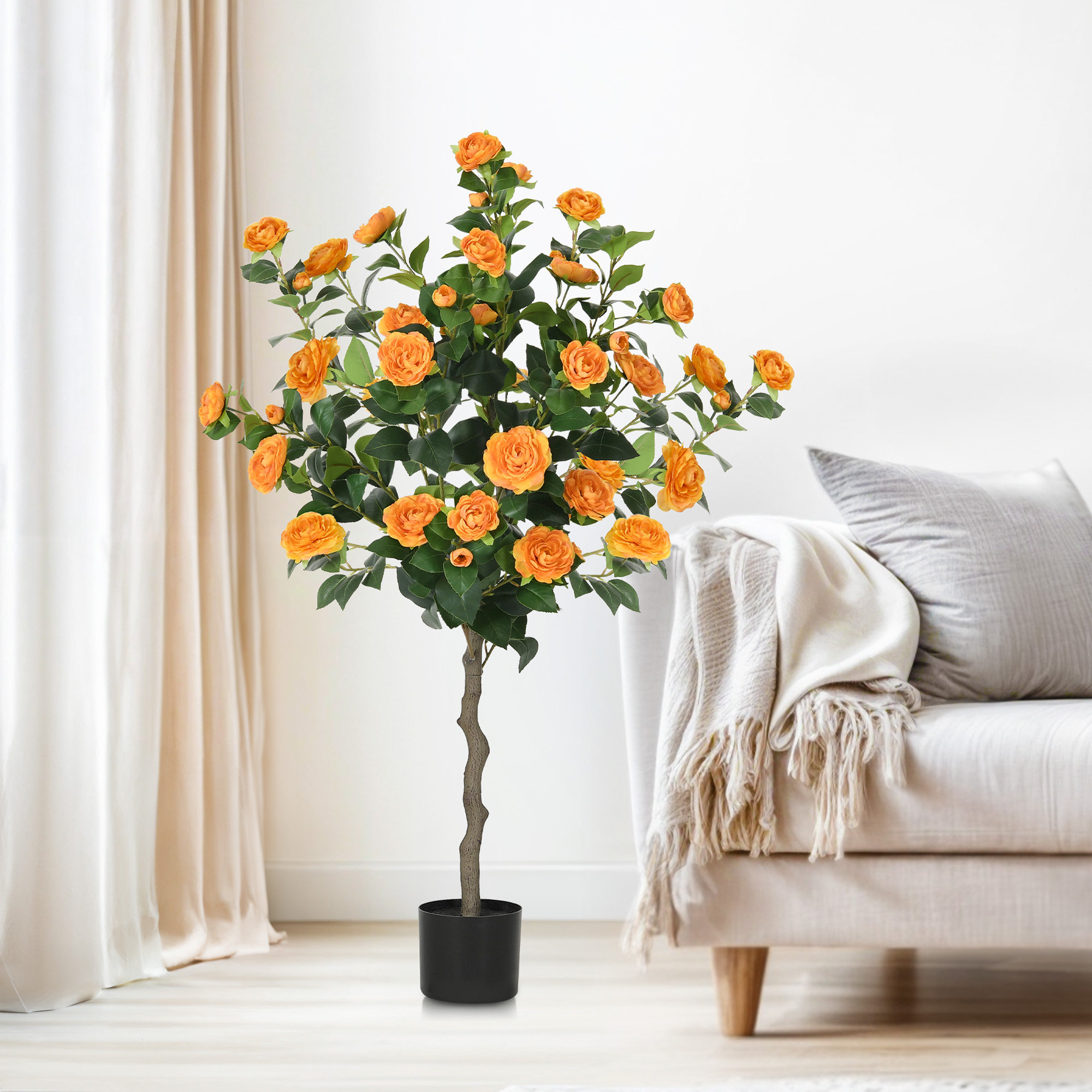 Primrue 49.2 Camellia Tree Plant & Reviews | Wayfair