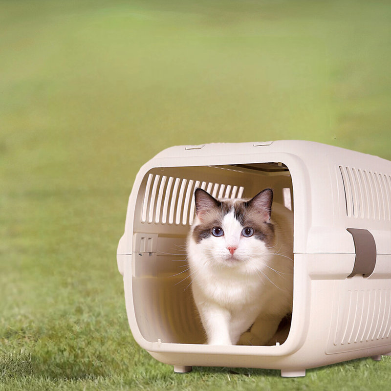 Tucker Murphy Pet™ Eithen Portable Outdoor Cat Cage | Wayfair