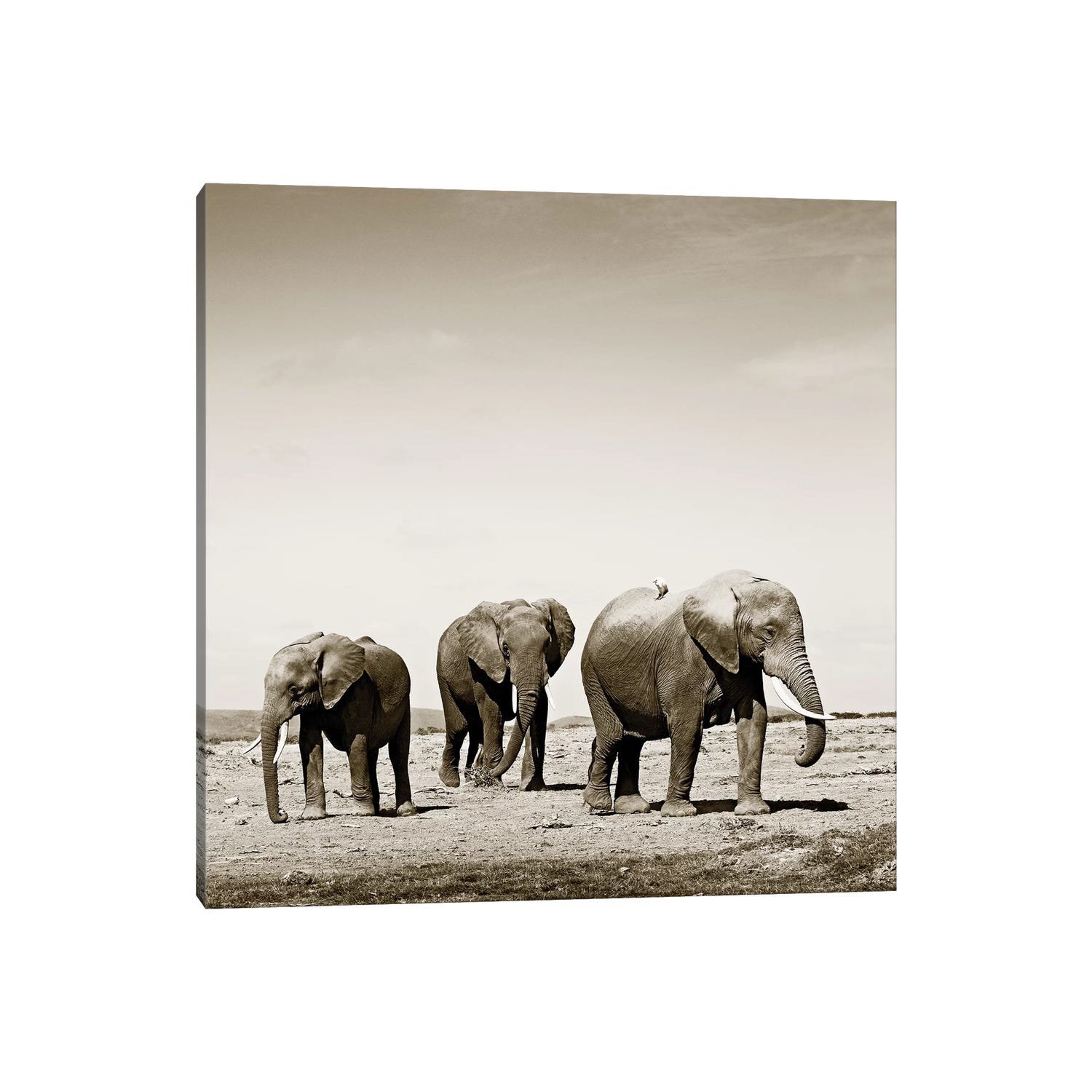 East Urban Home Lumbering Elephants by Klaus Tiedge - Wrapped Canvas ...