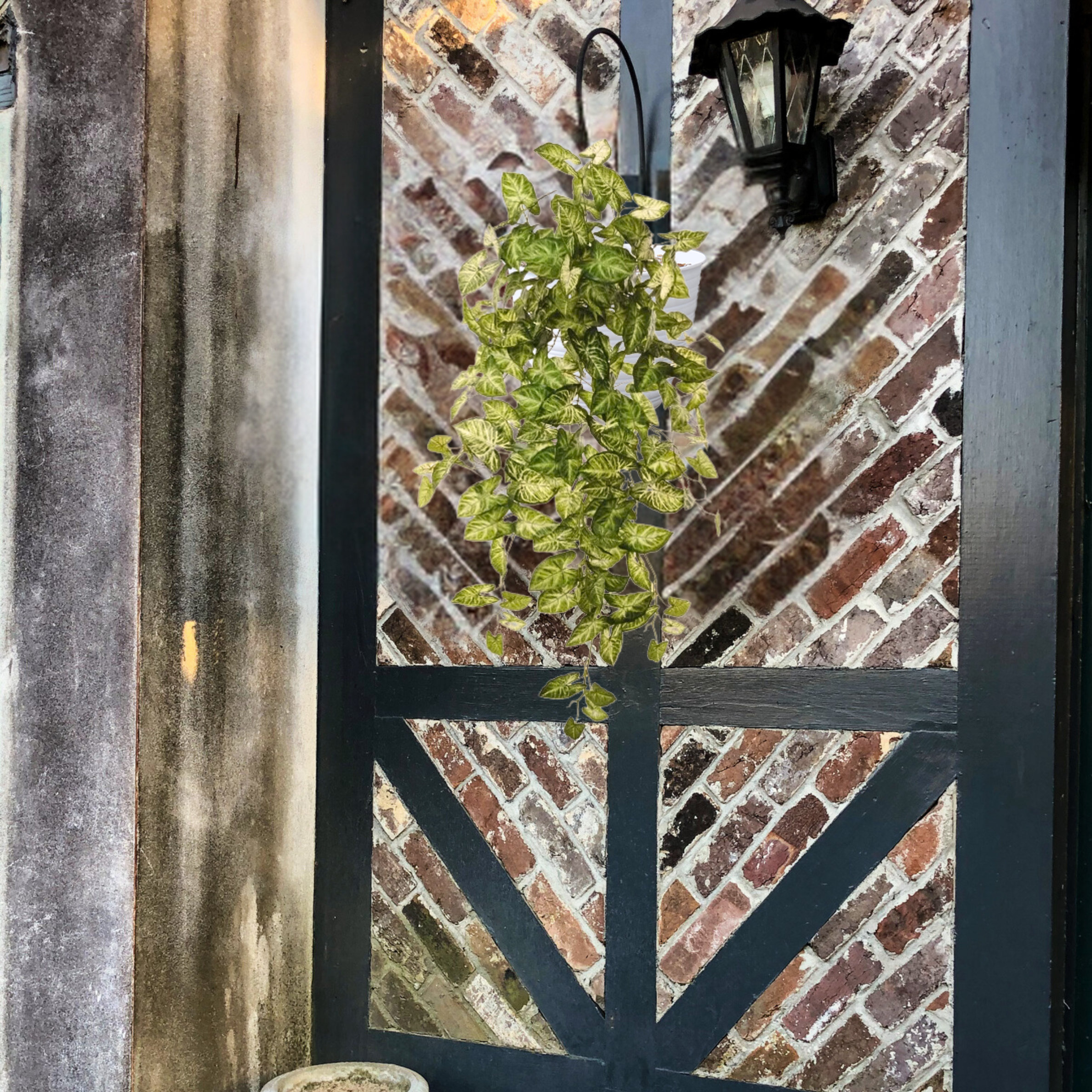Larksilk 38" Hanging Nephthytis Ivy Plant | Wayfair
