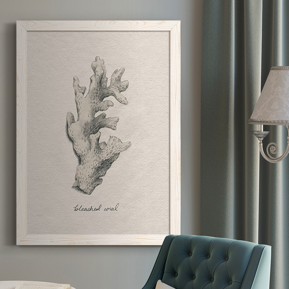 Dovecove Shore Treasure Study II Framed On Canvas Print | Wayfair