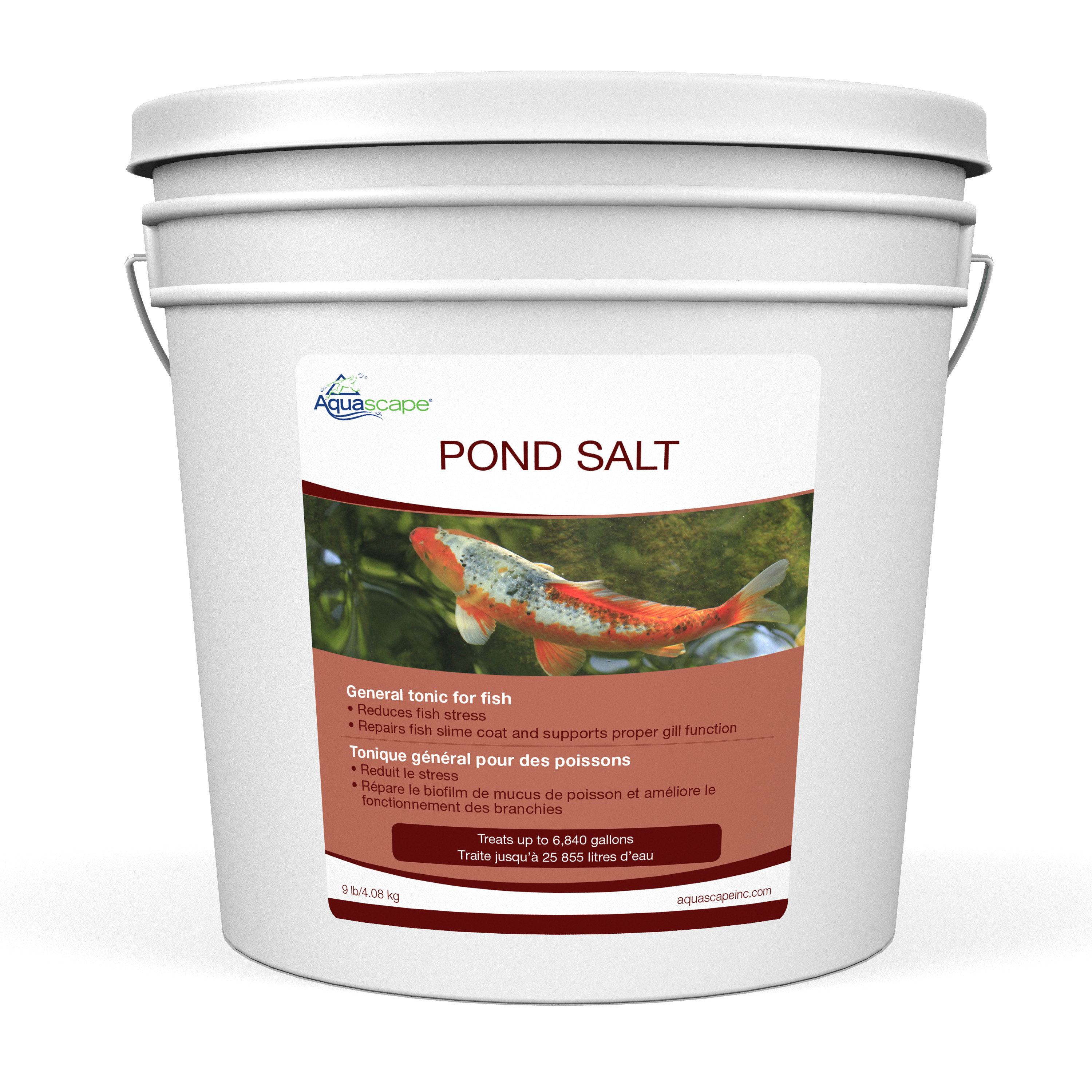 Aquascape Pond Salt Water Treatment | Wayfair