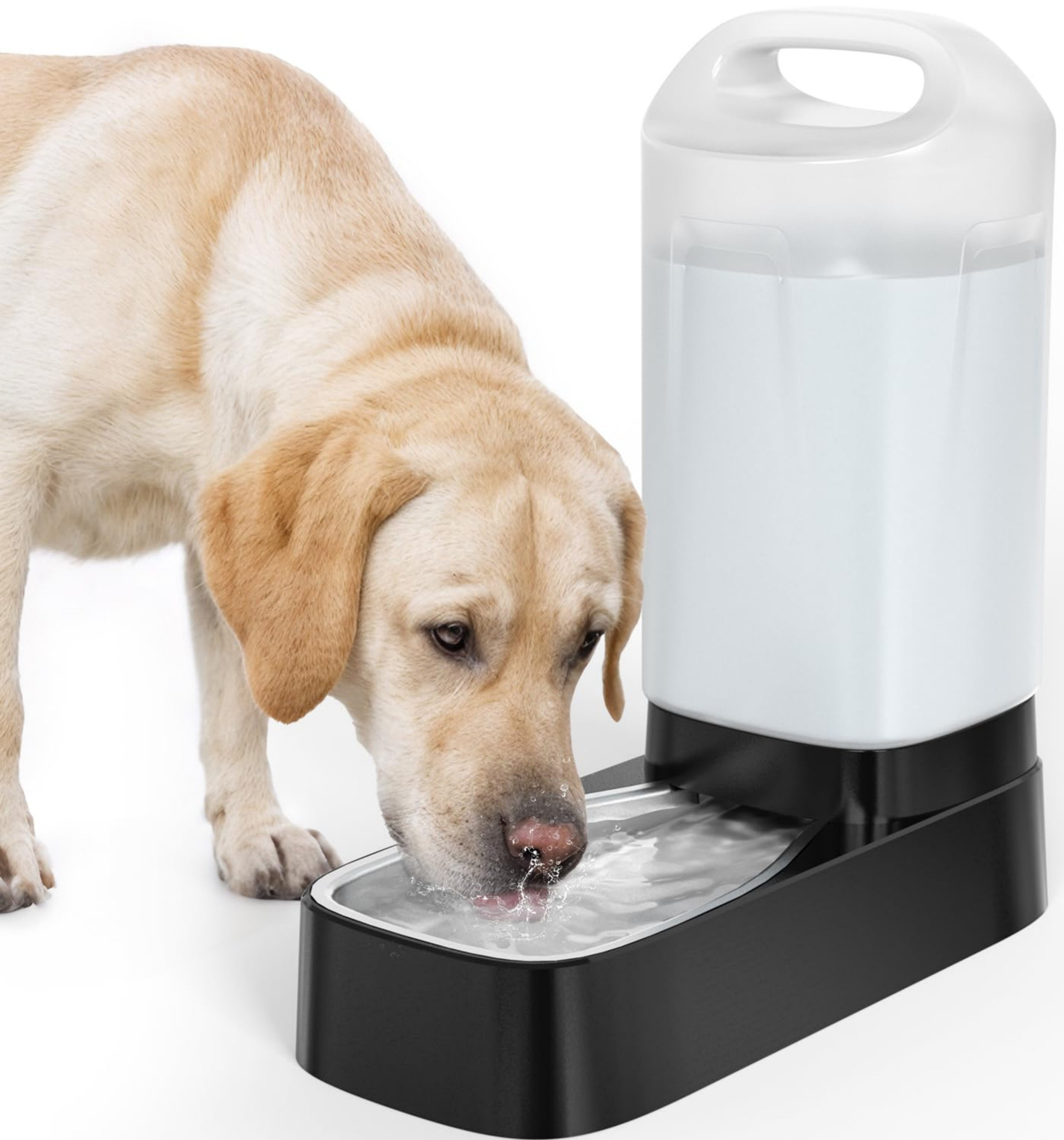 HIBAMSTOR Automatic Dog Water Bowl Dispenser - 2.4 Gallon Stainless ...