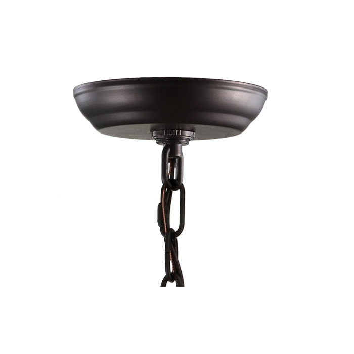 Charlton Home® Viraj 4 - Light Pendant & Reviews | Wayfair