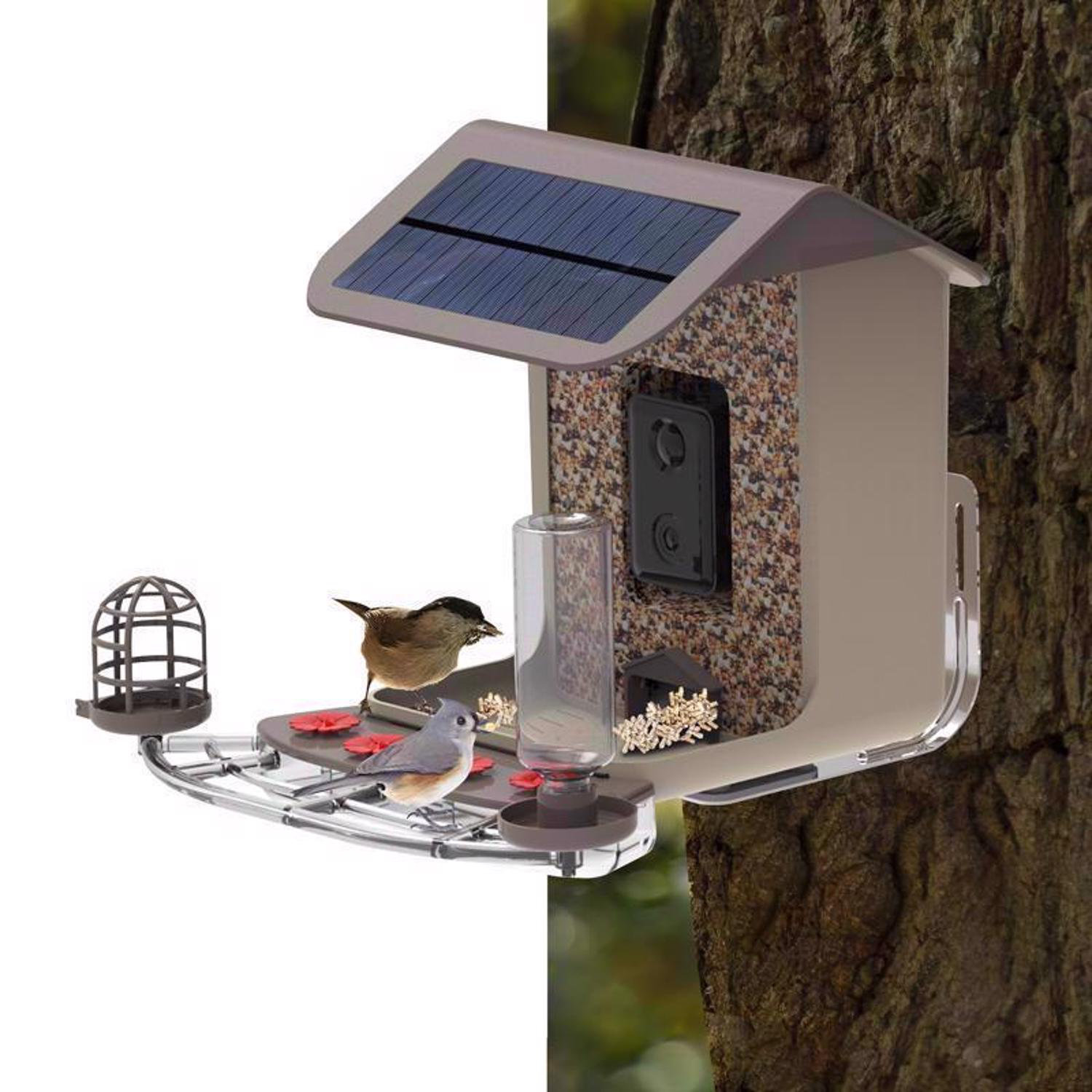 Arlmont & Co. Bird Genius Tree Or Wall Mount | Wayfair