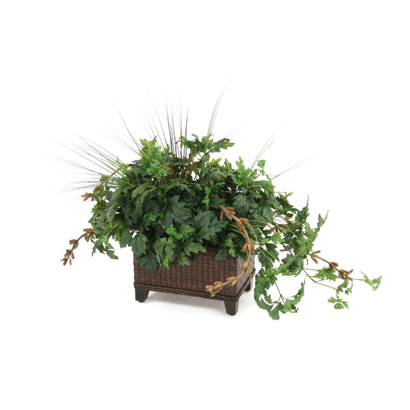 Distinctive Designs Silk Grass and Grape Ivy in Planter | Wayfair