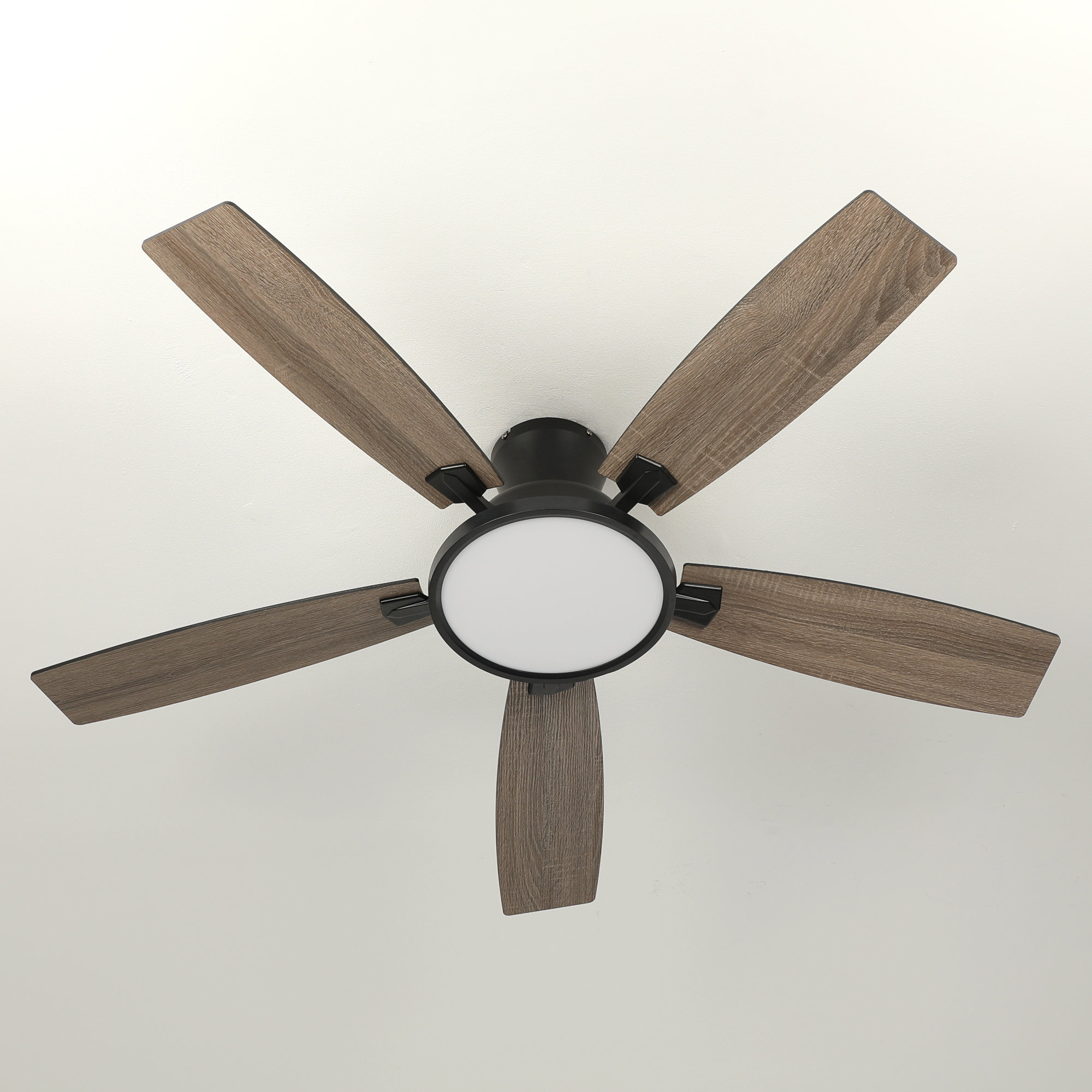 Wrought Studio™ Karlena 52'' Modern Farmhouse Dimmable Ceiling Fan with ...