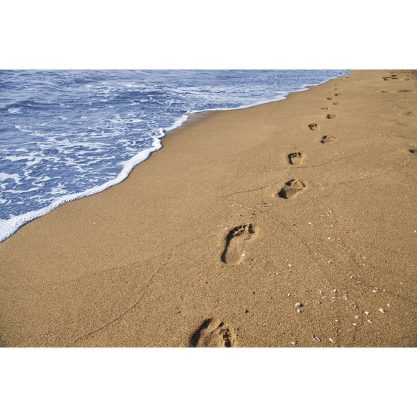 Highland Dunes Footsteps On Canvas by Silroby Print | Wayfair