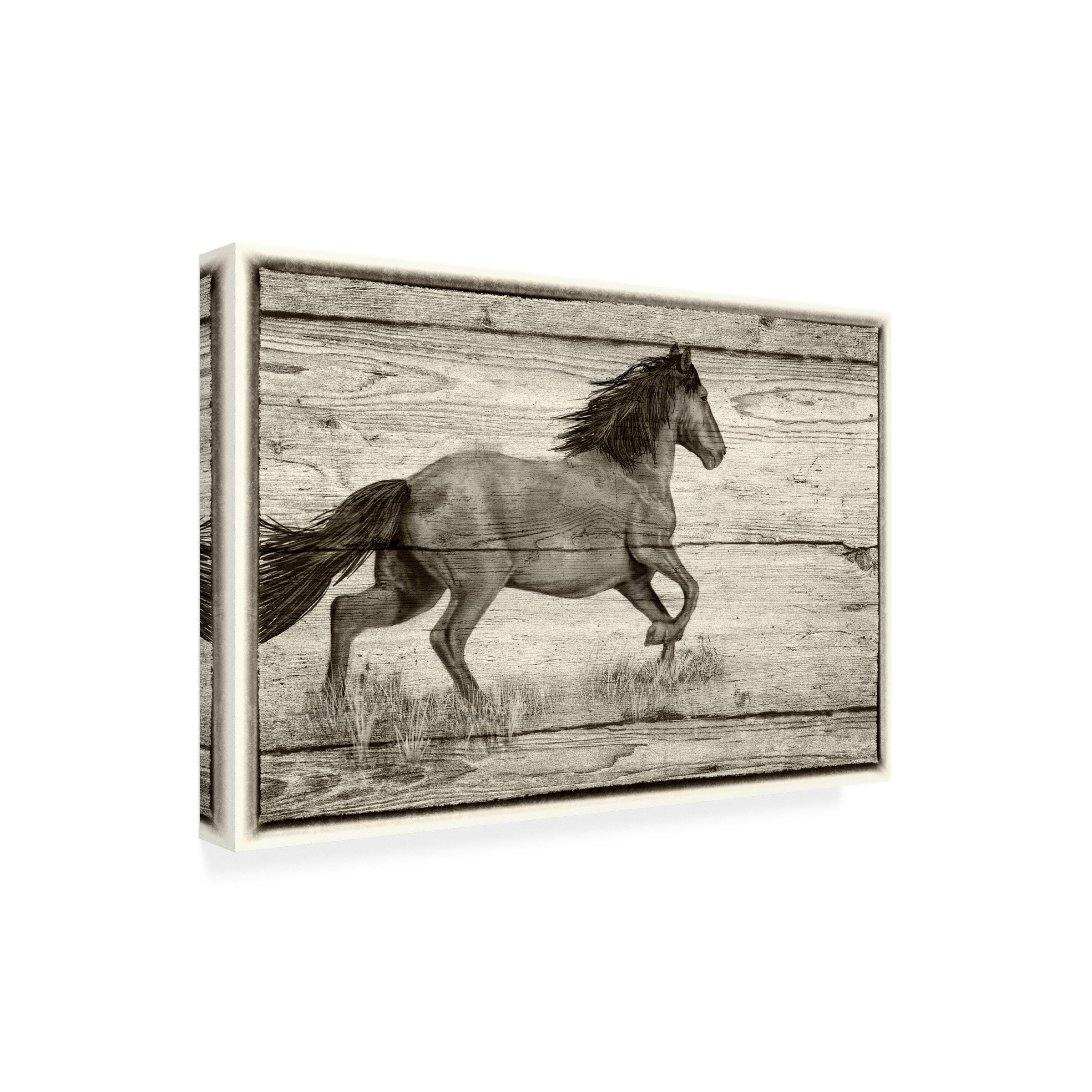 Union Rustic Gordon Semmens Woodgrain Antiques 1 Canvas Art - Wayfair ...