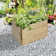 Freeport Park Bandit Triangular Raised Bed - 90cm each side, Height ...