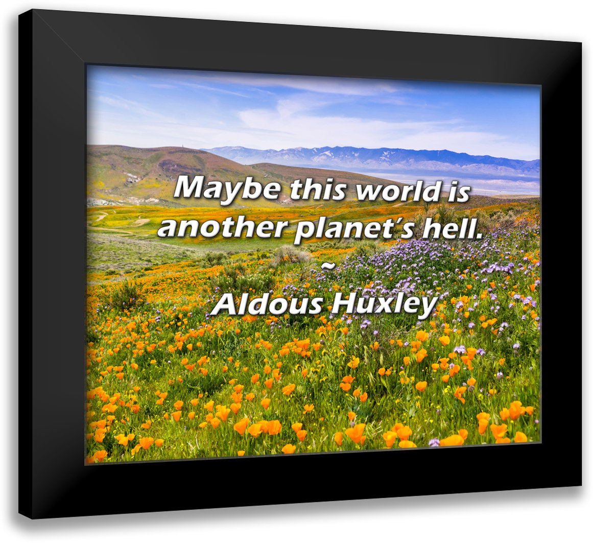 Trinx Aldous Huxley Quote: Maybe this world is another planet’s hell ...