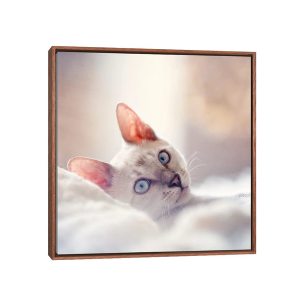 Ebern Designs Cozy Cat by Rupa Sutton - Print on Canvas | Wayfair.co.uk