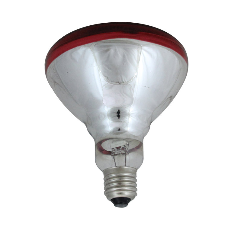Northlight Incandescent Weatherproof 100 Watt Indoor/Outdoor Red Flood ...