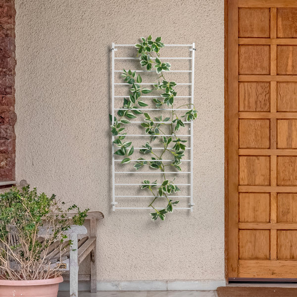 Arlmont & Co. Wall Mounted White Climbing Plants Garden Trellis | Wayfair