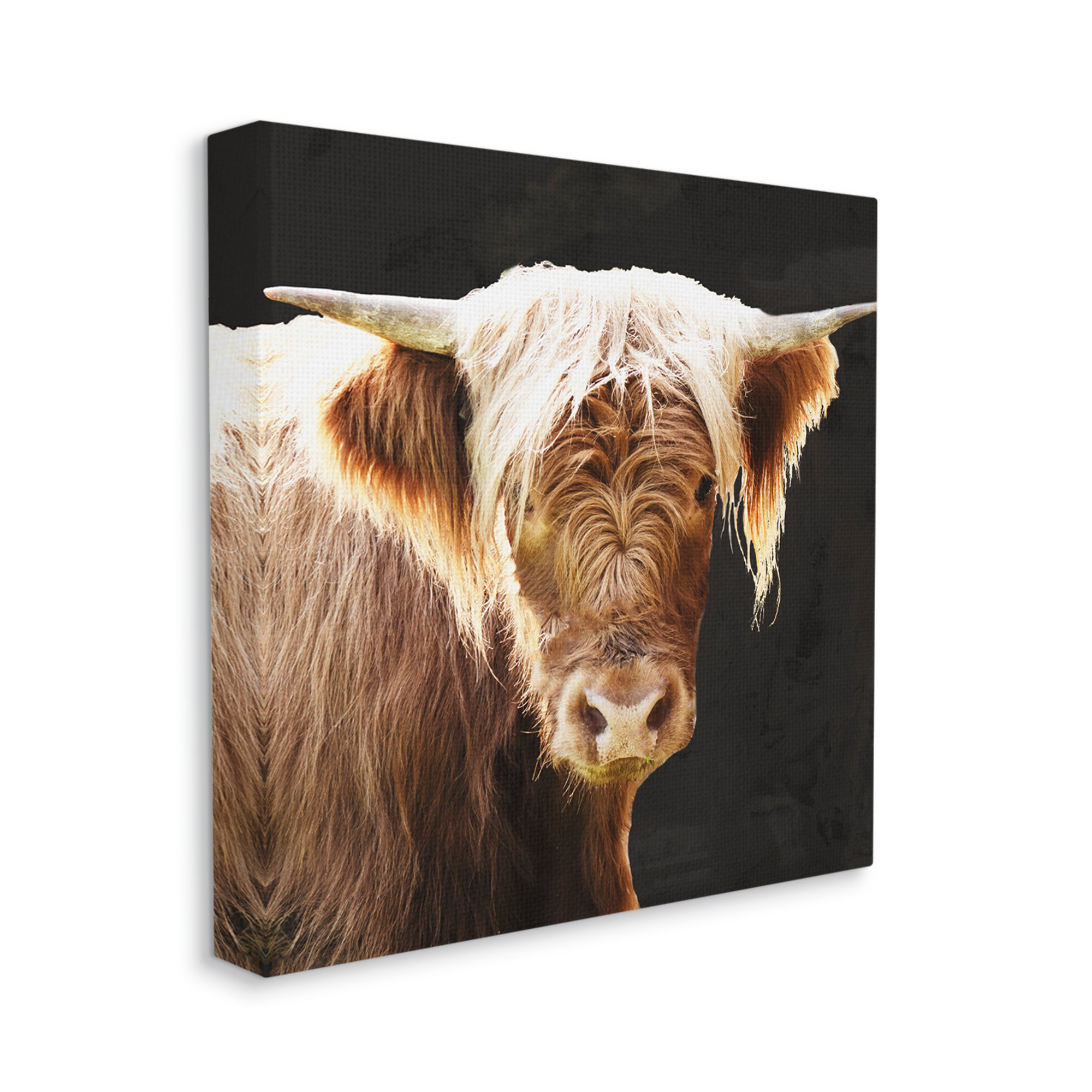 Millwood Pines Brown Wooly Cattle Canvas Wall Art by Emily Navas ...