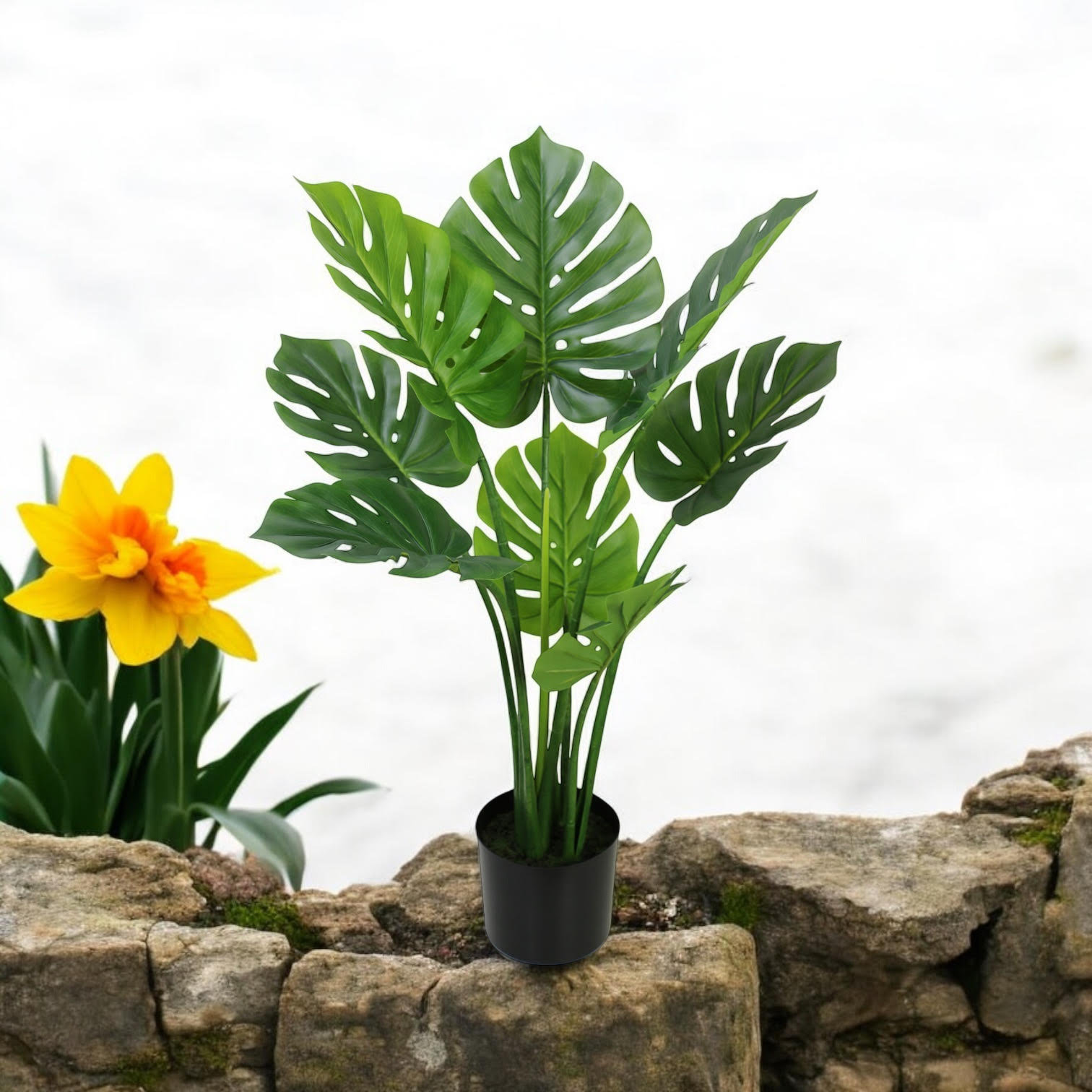 The Seasonal Aisle 90Cm Artifcial Monstera Bonsai Tree | Wayfair.co.uk