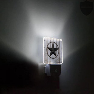 Texas Star Ceiling Lights