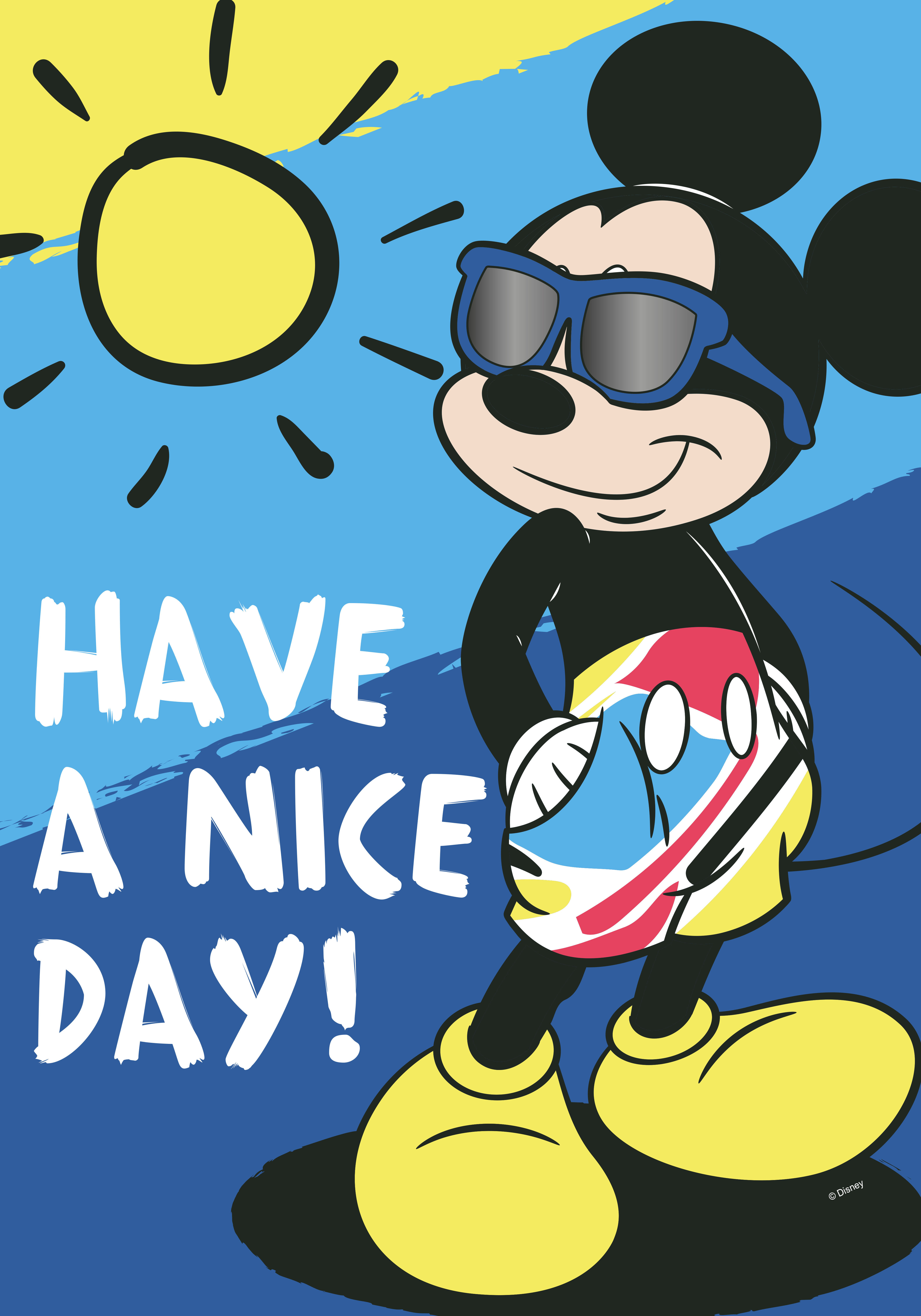 Back Yard Glory Disney Have a Nice Day Sunny Mickey Garden Flag, 12.5 ...