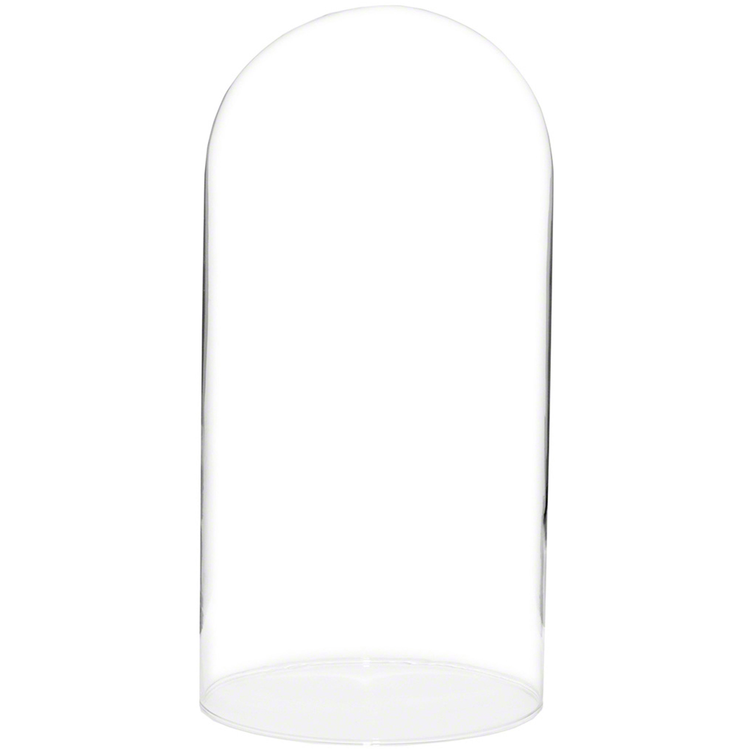 Ebern Designs Vucciria 5.5" x 11" Glass Display Dome Cloche | Wayfair