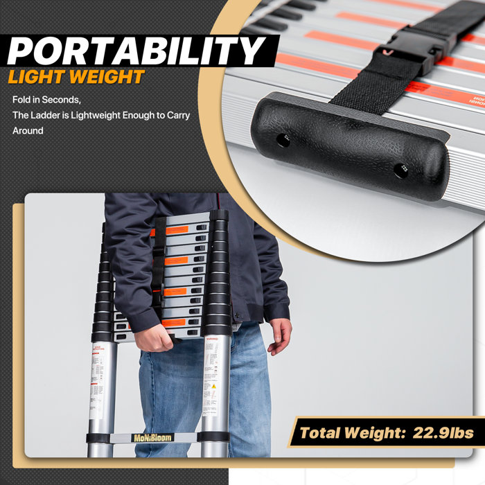 WFX Utility™ Jacksonview 13 - Step Aluminum Lightweight Extension ...