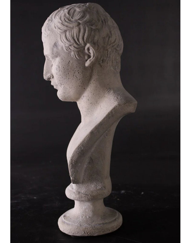 Astoria Grand Napoleon Bonaparte Stone Bust Statue | Wayfair