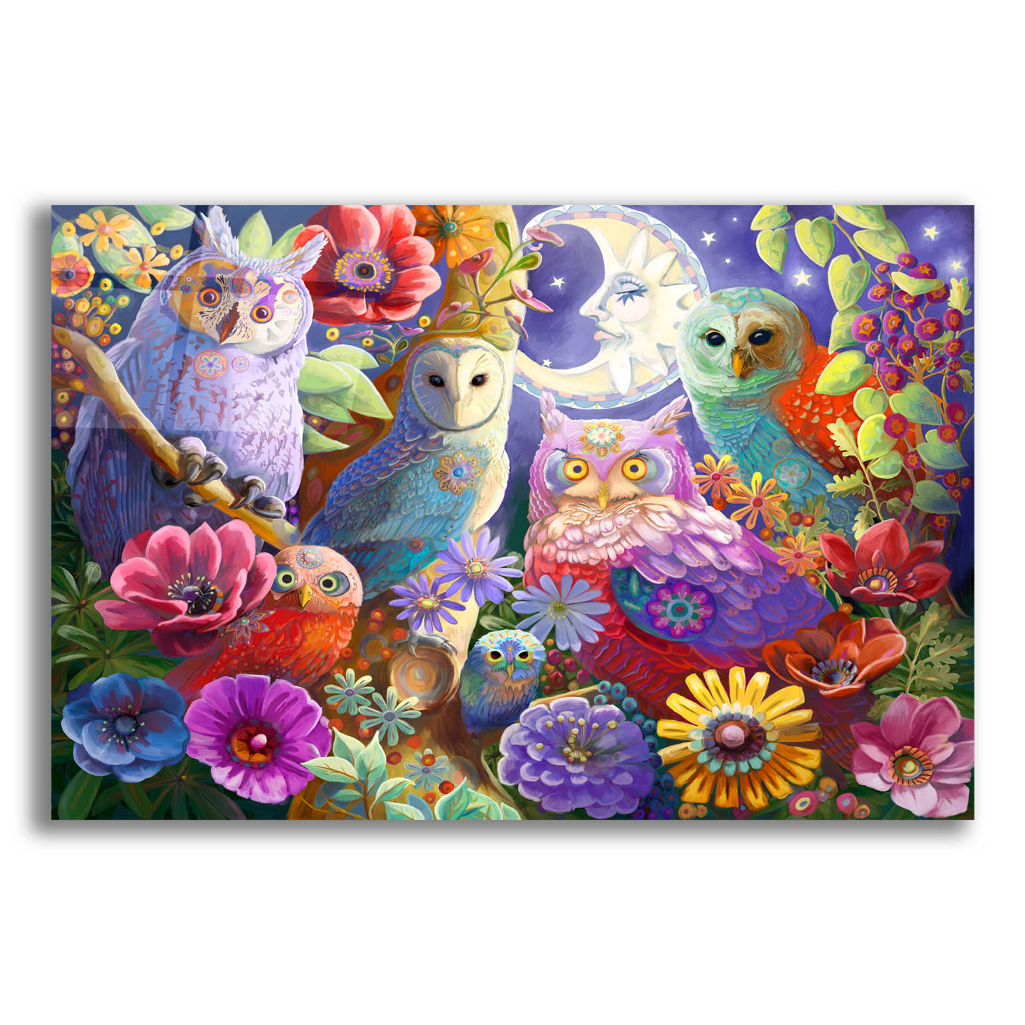 Millwood Pines Night Owl Gathering by Laura Audi - Unframed Print | Wayfair