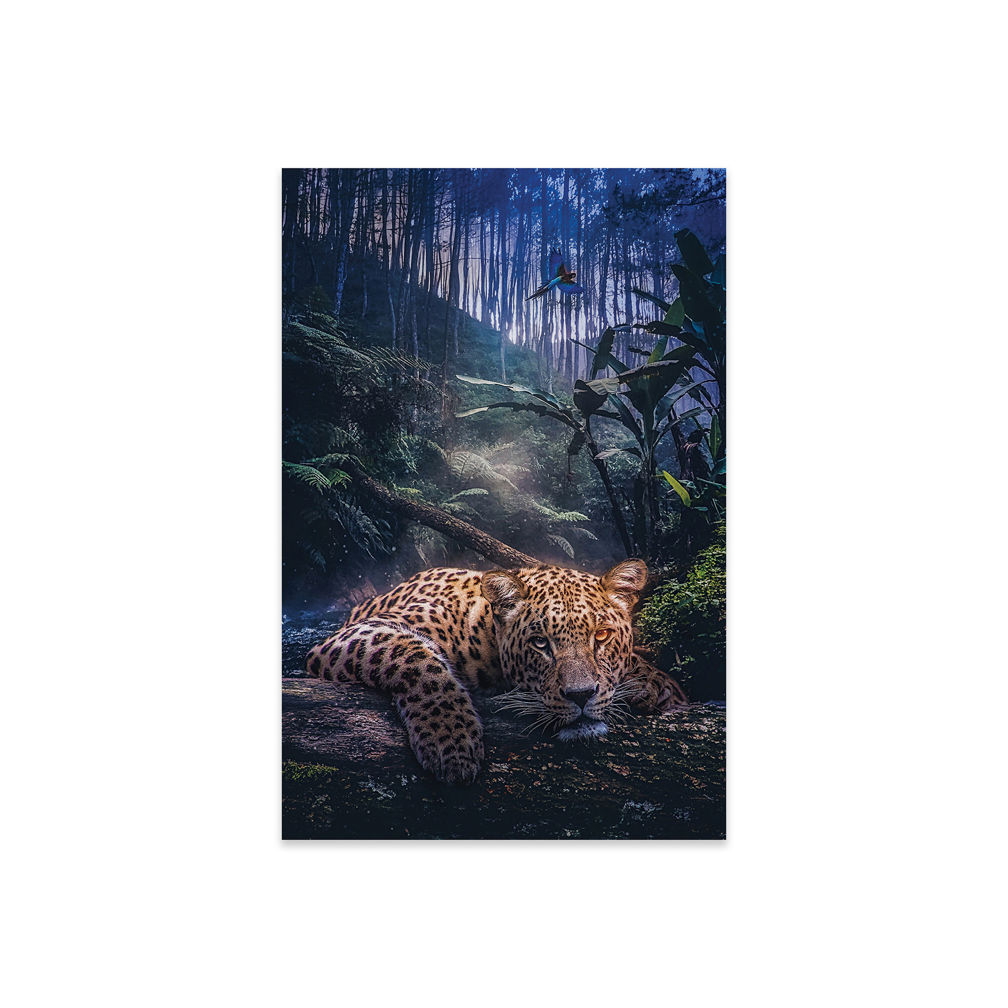 Ebern Designs Jungle Leopard And Parrots Wildlife Print On Acrylic ...