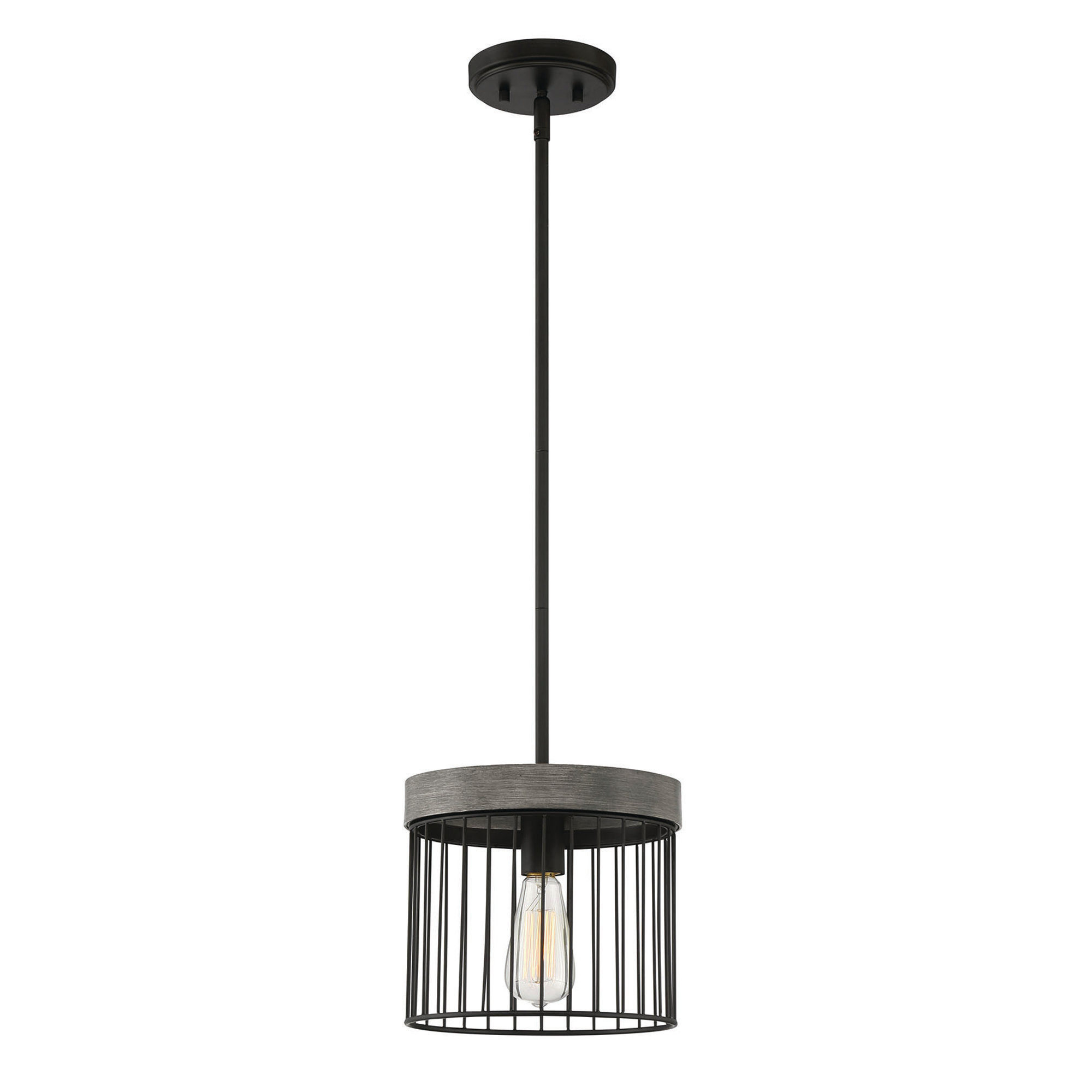 17 Stories Adkison 1 - Light Unique / Statement Bulb Pendant - Wayfair ...