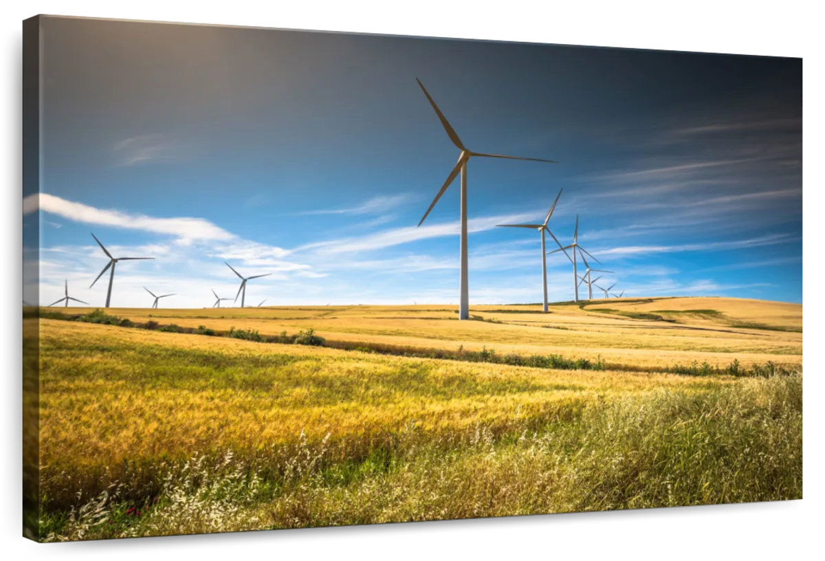 Elephant Stock Wind Turbine Field - Wayfair Canada
