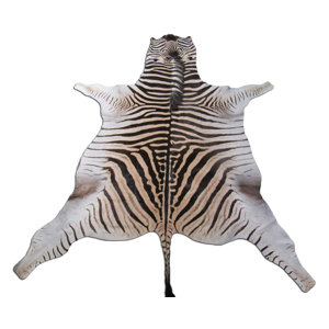 Foundry Select Real Zebra Skin Rug | Wayfair