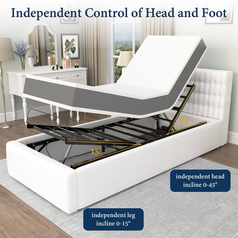 PPorfamilia Adjustable Bed & Reviews | Wayfair