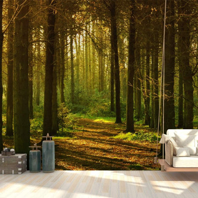 IDEA4WALL Morning Green Forest Border, Nature Landscape Wall Mural ...