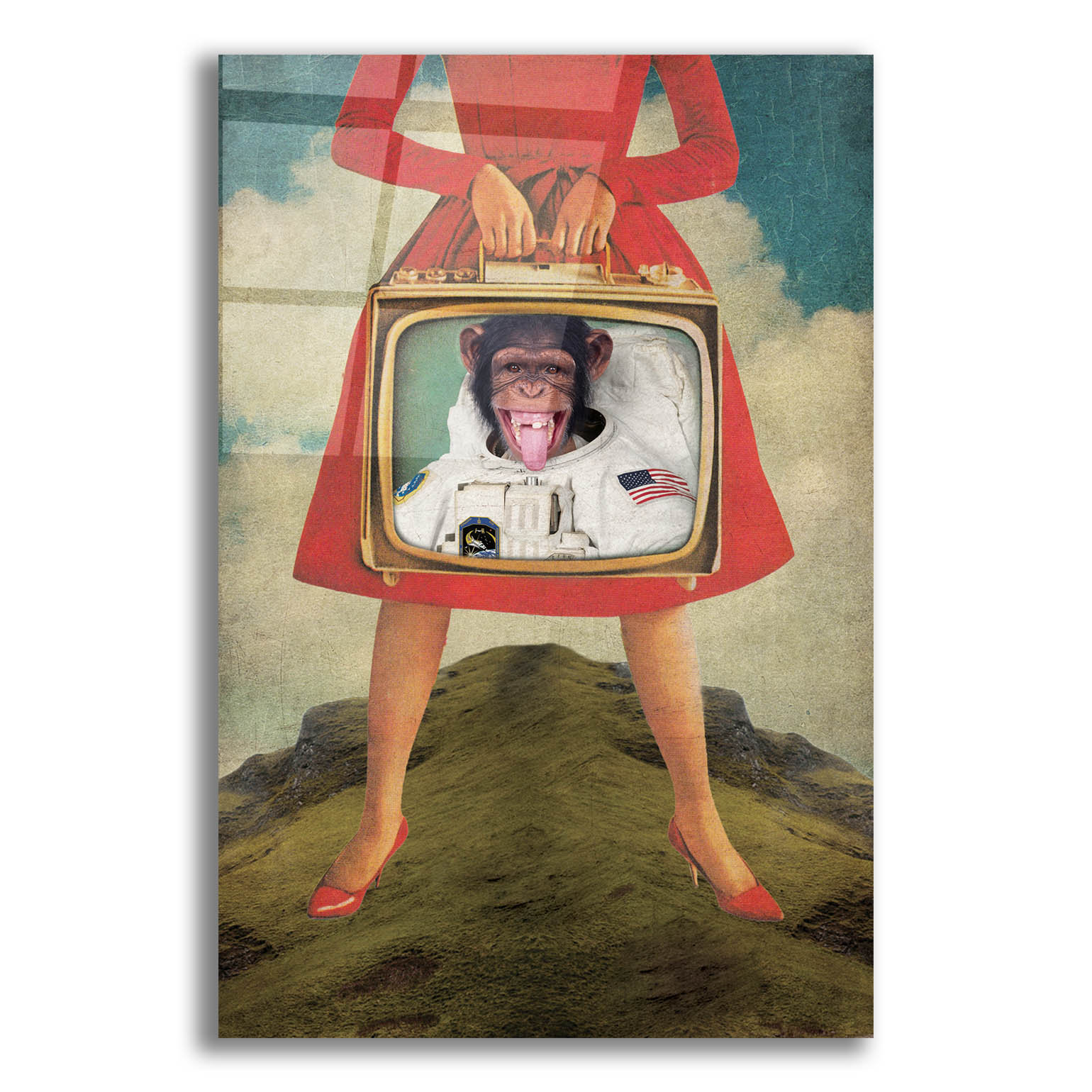 Trinx " Monkey See Monkey Do " by Elo Marc | Wayfair