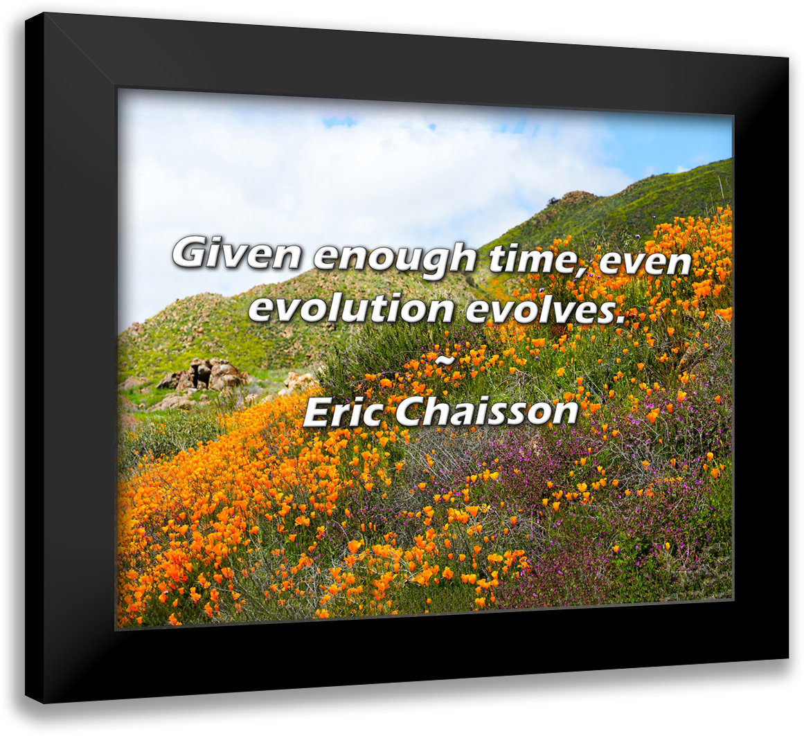 August Grove Eric Chaisson Quote: Given enough time, even evolution ...
