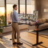 Wrought Studio™ Electric Standing Desk, Height Adjustable Computer Desk ...