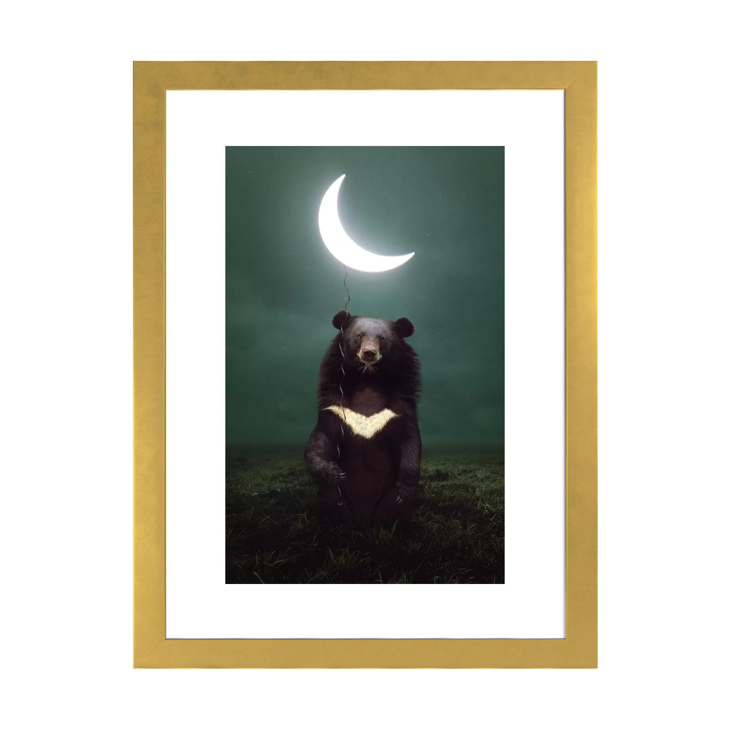 East Urban Home My Light - Moon Bear by Soaring Anchor Designs ...