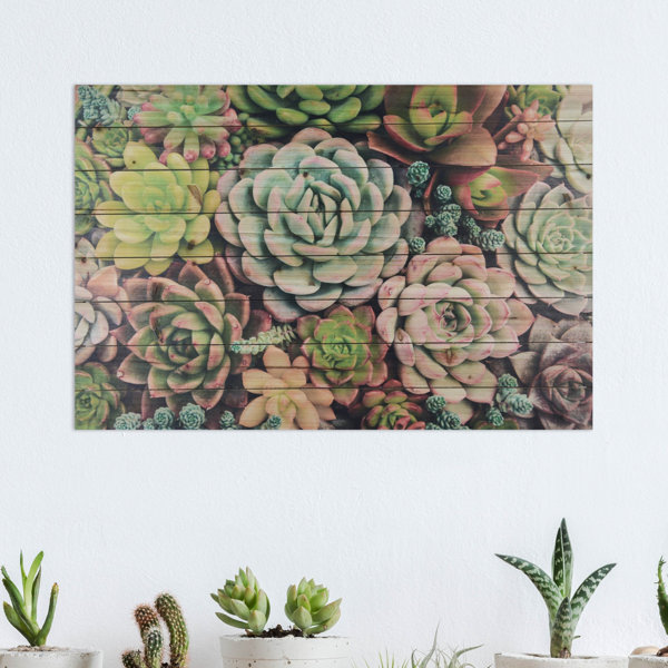 Bungalow Rose Soothing Succulents On Wood Print | Wayfair