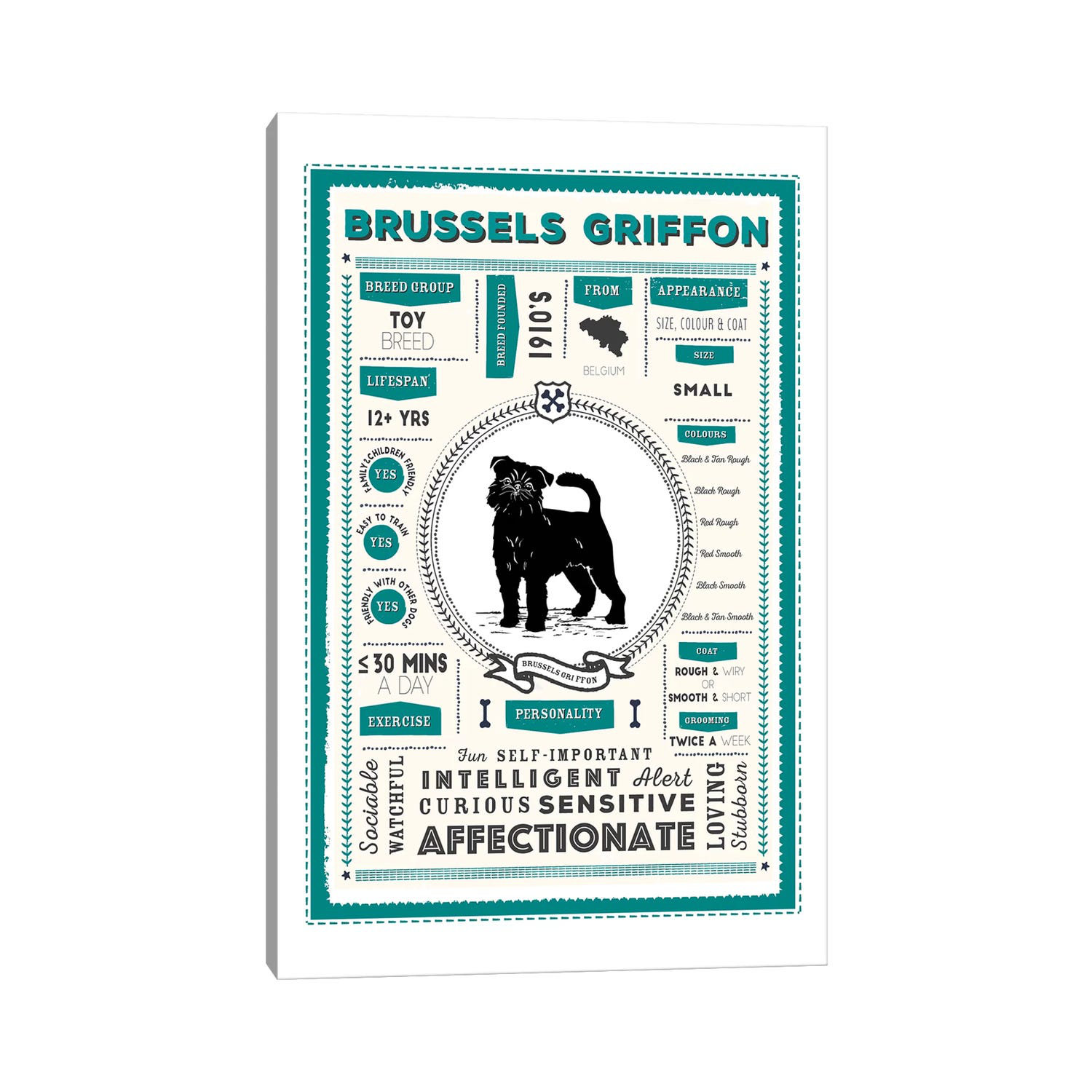 East Urban Home Brussels Griffon Infographic Blue by PaperPaintPixels ...