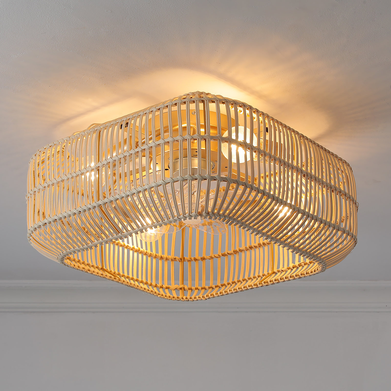 Bay Isle Home™ 20"Rattan Ceiling Fans with Lights and Remote, Low ...